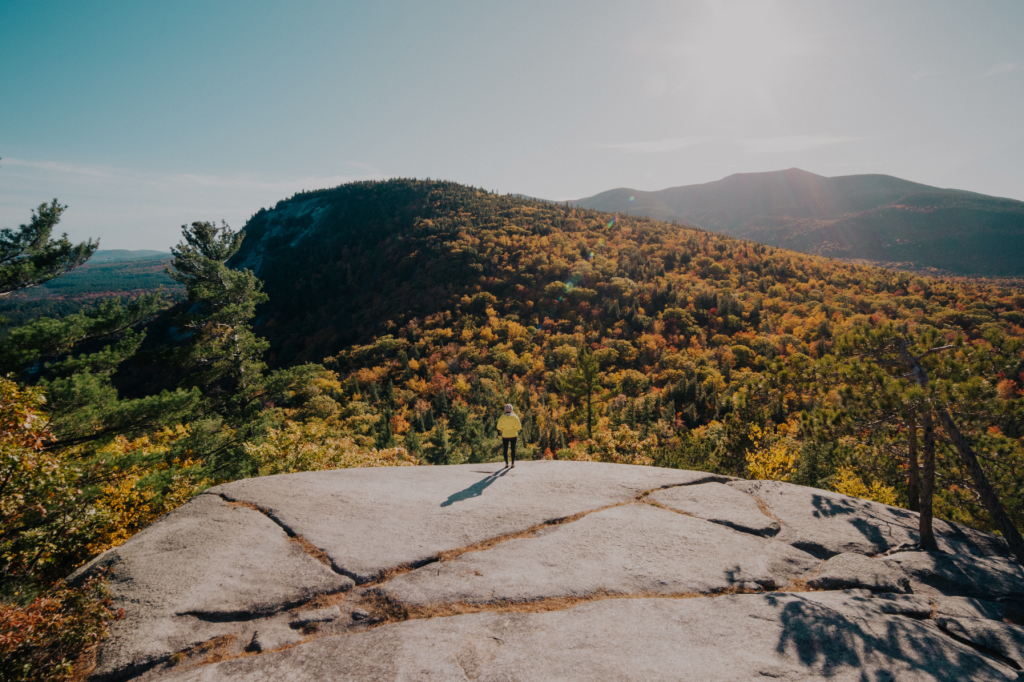 Insights & More - Baystate Financial / Guidance. Insight. Results.